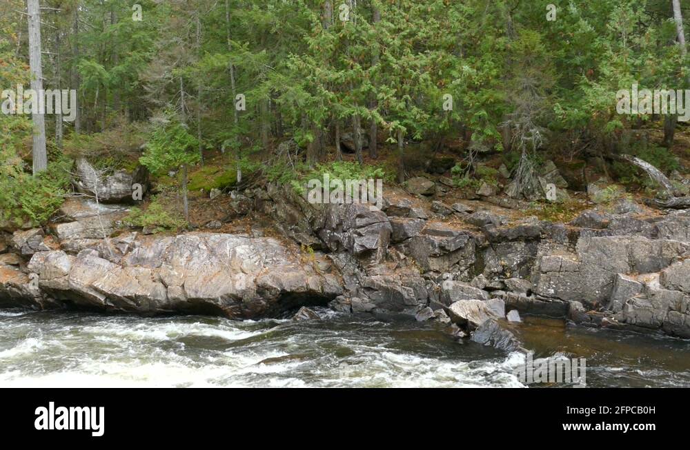 Beautiful river shore made of stone rock wall where a pine forest is ...