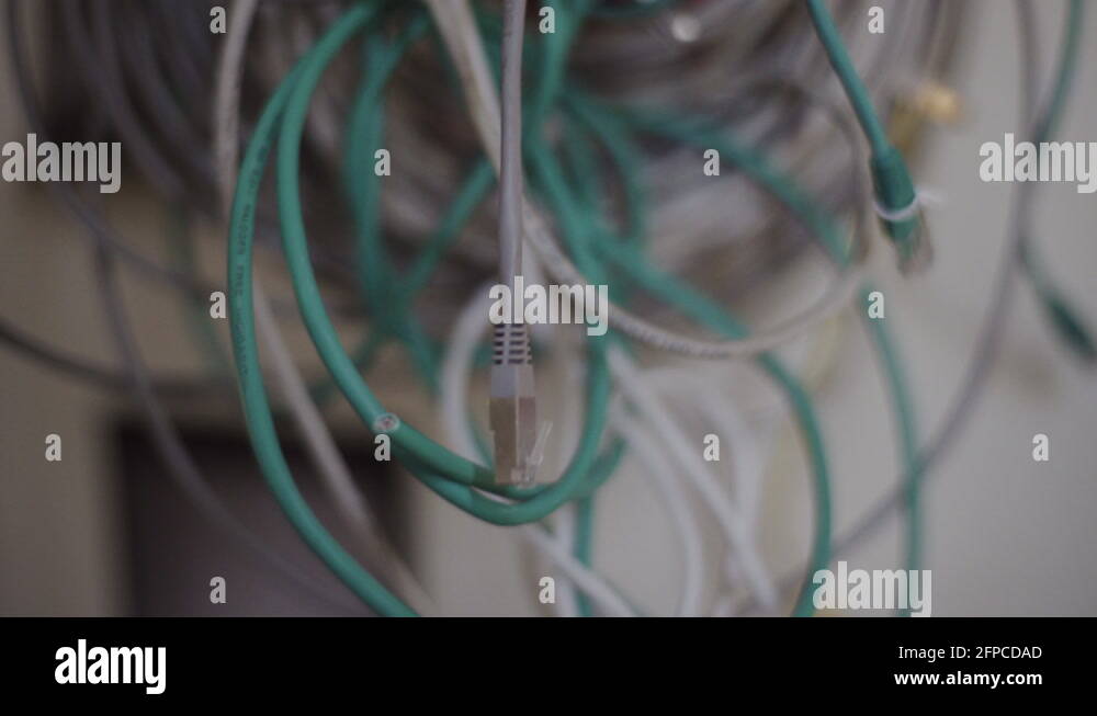 Rat nest Stock Videos & Footage - HD and 4K Video Clips - Alamy