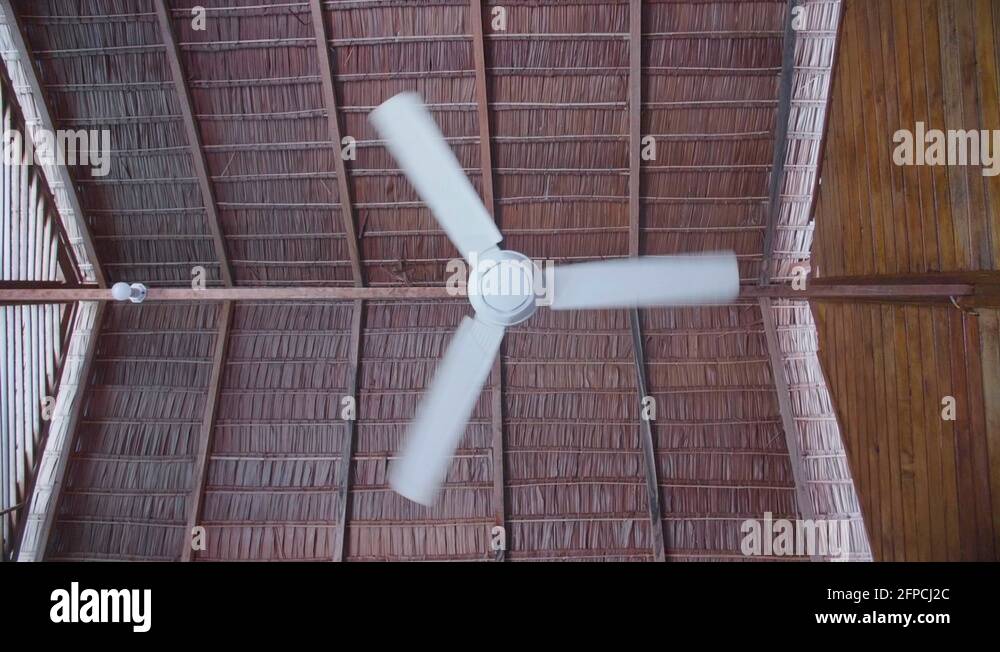 Third fan party Stock Videos & Footage - HD and 4K Video Clips - Alamy