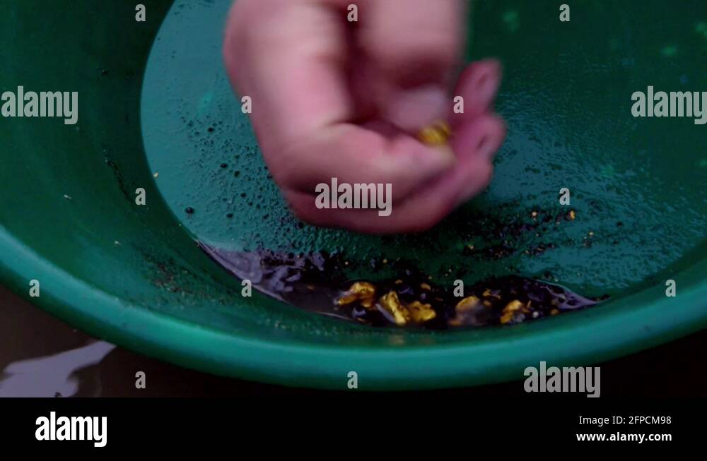 Hand gold in gold pan Stock Videos & Footage - HD and 4K Video Clips ...