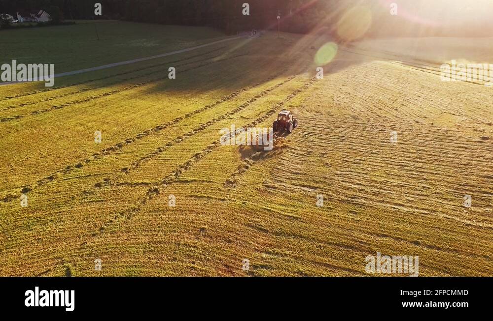 Hay Rake Raking Hay Into Wind Rows In Golden Hour Light With Lens ...