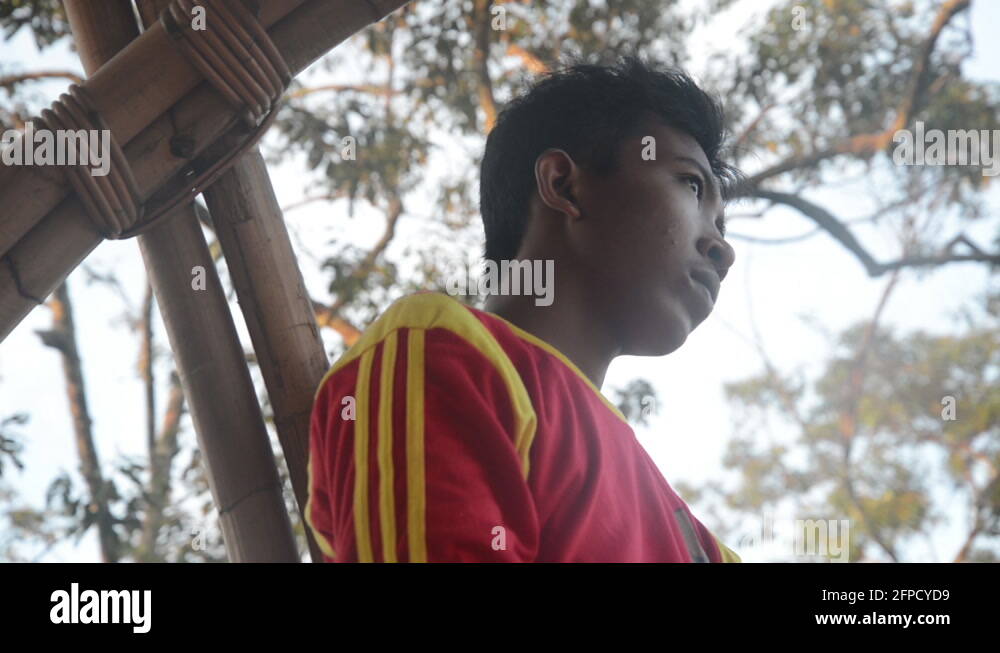 Sumatran rainforest Stock Videos & Footage - HD and 4K Video Clips - Alamy