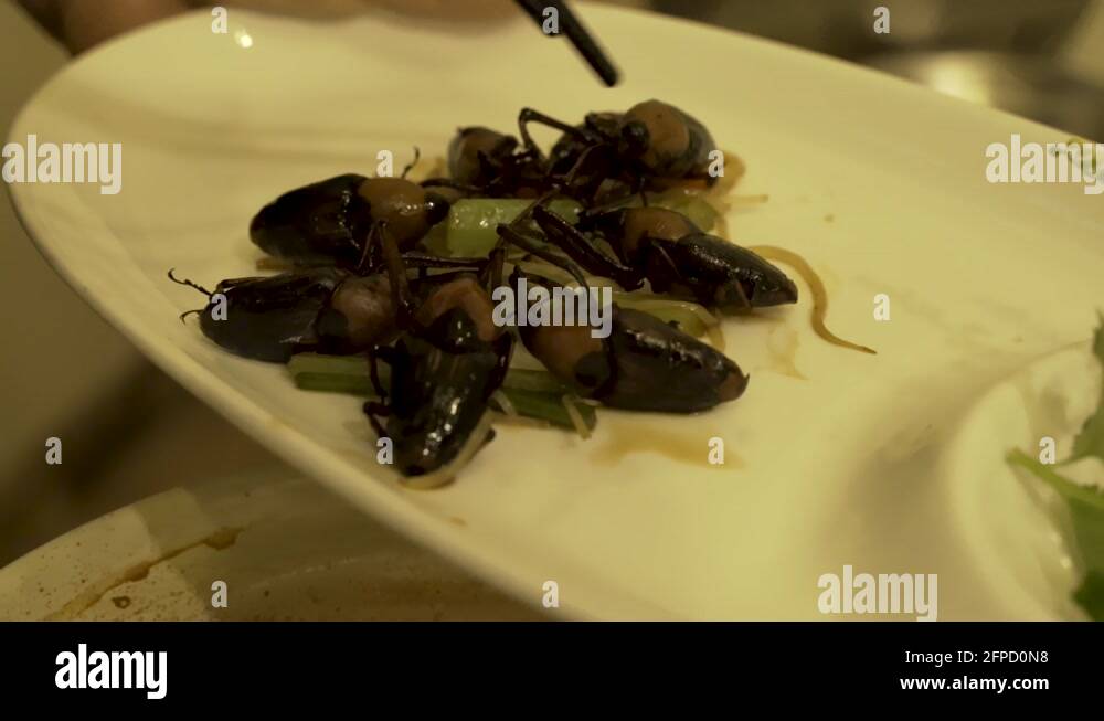 Weevils food Stock Videos & Footage - HD and 4K Video Clips - Alamy