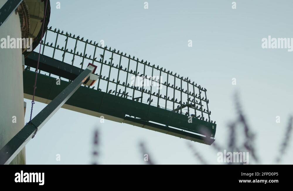 Windmill sail Stock Videos & Footage - HD and 4K Video Clips - Alamy