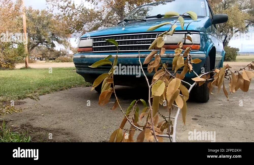Van trees Stock Videos & Footage - HD and 4K Video Clips - Alamy