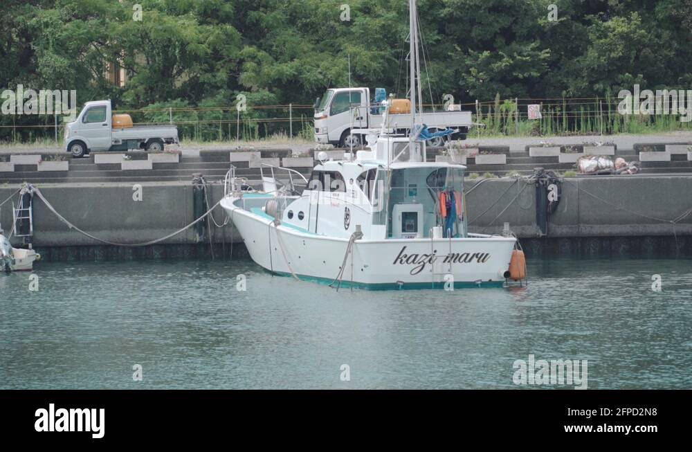 Numazu fish market Stock Videos & Footage - HD and 4K Video Clips - Alamy