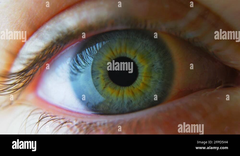 Girl looking straight at camera Stock Videos & Footage - HD and 4K ...