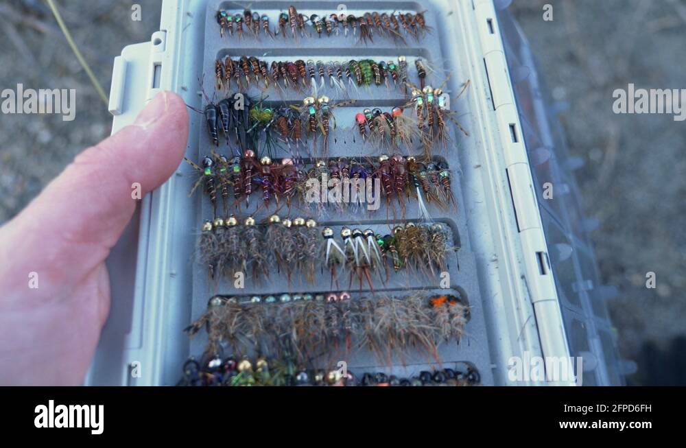 Trout fly fishing Stock Videos & Footage - HD and 4K Video Clips - Alamy