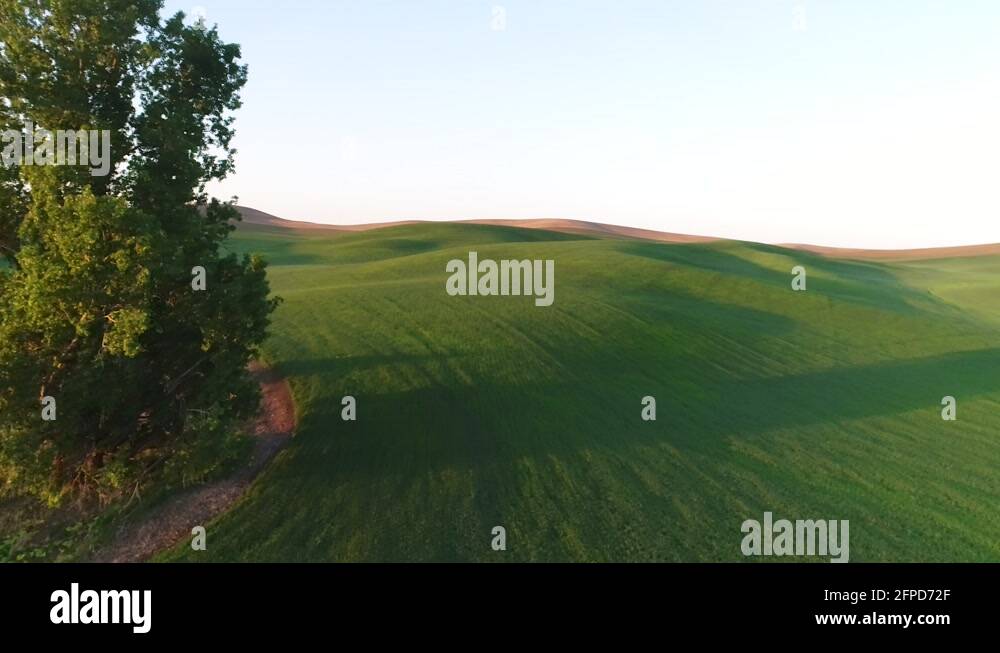 Crisp rolling Stock Videos & Footage - HD and 4K Video Clips - Alamy