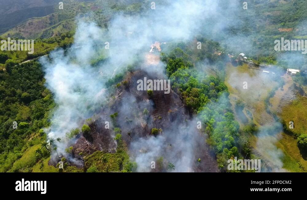 Deforestation rainforests Stock Videos & Footage - HD and 4K Video ...