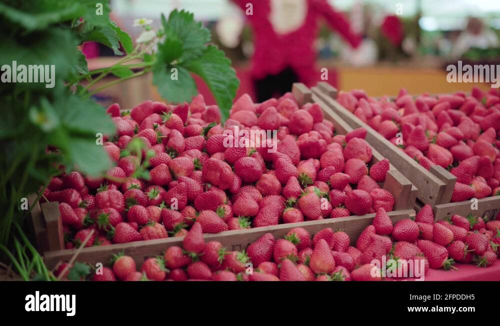 Fruit stall display of strawberries Stock Videos & Footage - HD and 4K ...
