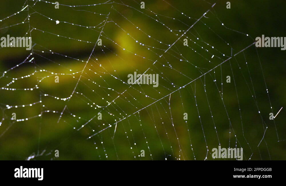 Upper most portion Stock Videos & Footage - HD and 4K Video Clips - Alamy