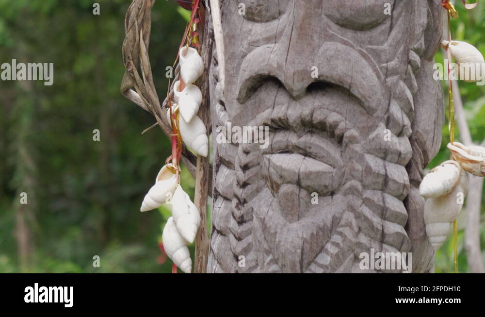 Indigenous culture of new caledonia Stock Videos & Footage - HD and 4K ...