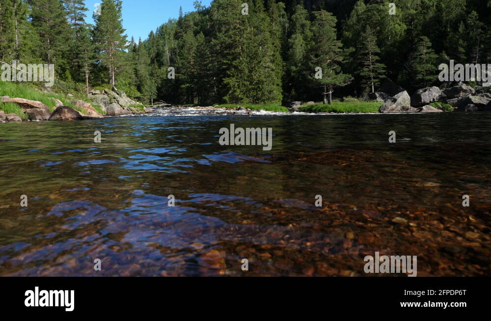 Clear river water ripples over red rocks with alpine forest background ...