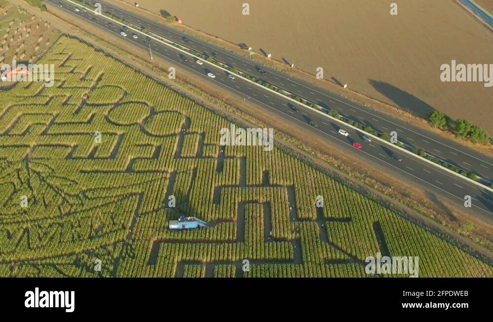 Guinness world record largest Stock Videos & Footage - HD and 4K Video ...