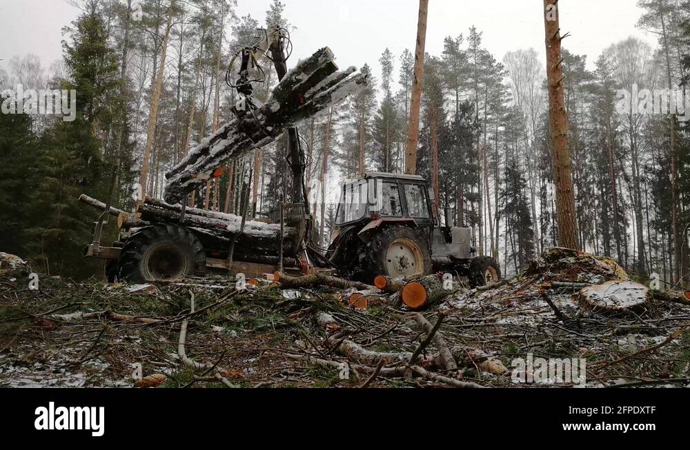 Forestry tractor Stock Videos & Footage - HD and 4K Video Clips - Alamy