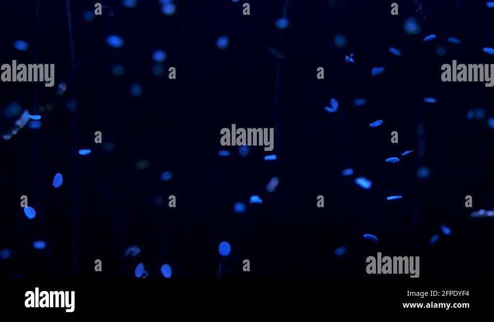 Micro plastics in water Stock Videos & Footage - HD and 4K Video Clips ...