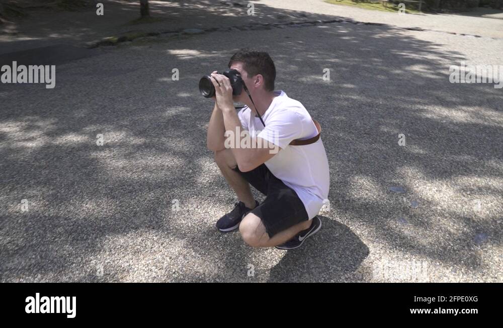 Real life photos Stock Videos & Footage - HD and 4K Video Clips - Alamy