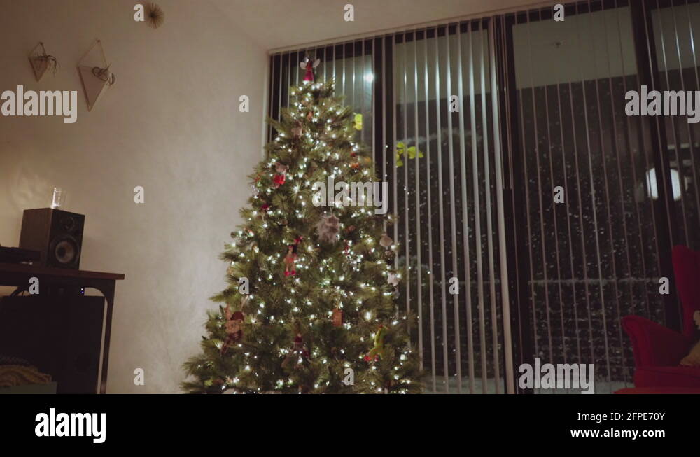 Tidy tree Stock Videos & Footage - HD and 4K Video Clips - Alamy