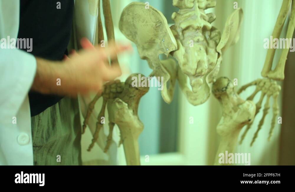 Tail Bone Stock Videos And Footage Hd And 4k Video Clips Alamy