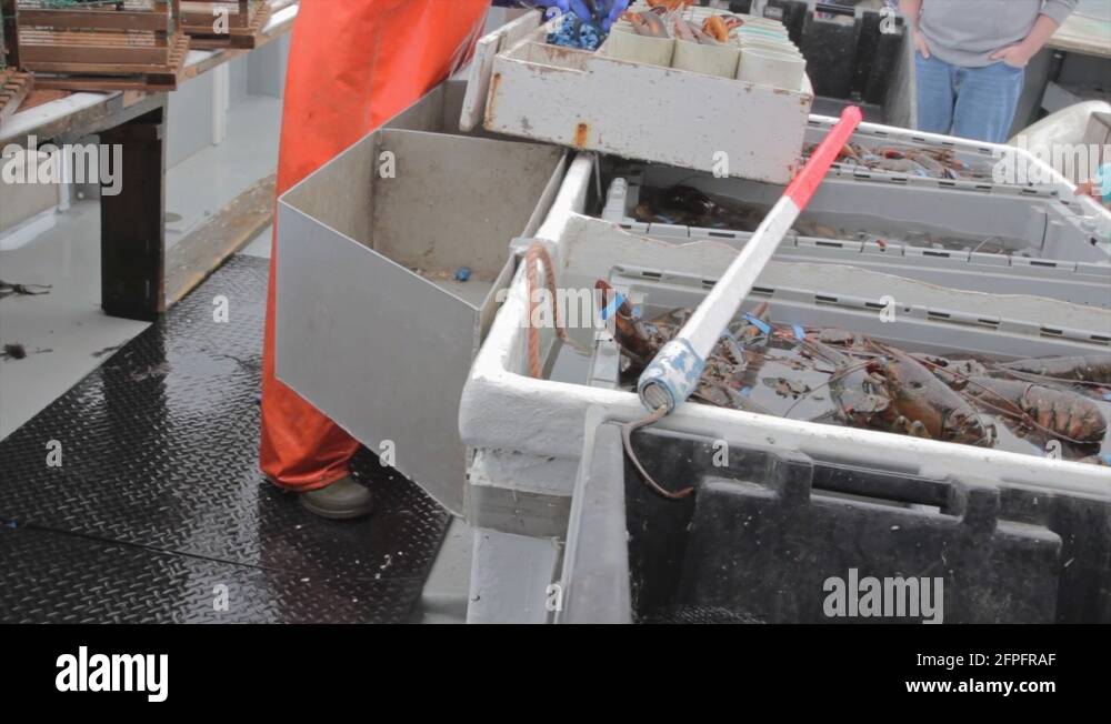 Shell trap Stock Videos & Footage - HD and 4K Video Clips - Alamy