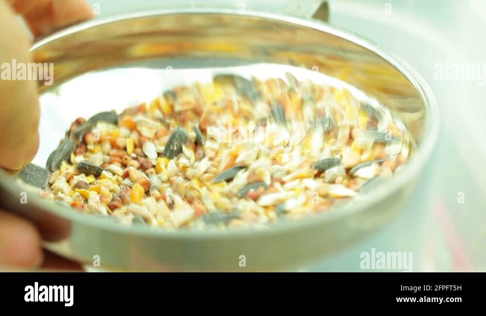 Measuring grain Stock Videos & Footage - HD and 4K Video Clips - Alamy