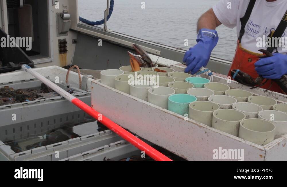 Lobster fishermen Stock Videos & Footage - HD and 4K Video Clips - Alamy
