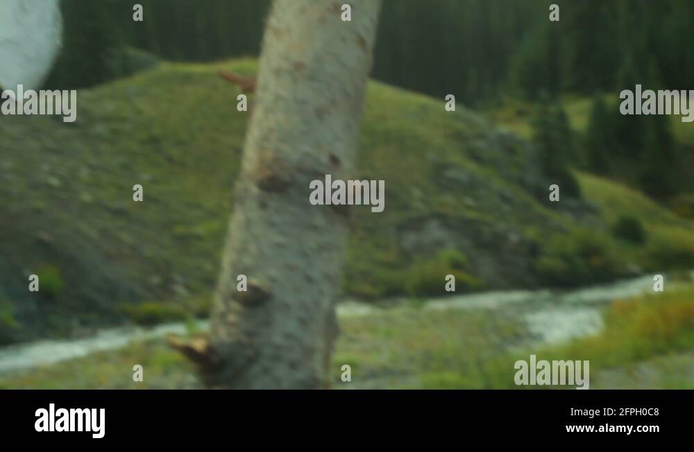 Prehistoric man tools Stock Videos & Footage - HD and 4K Video Clips ...