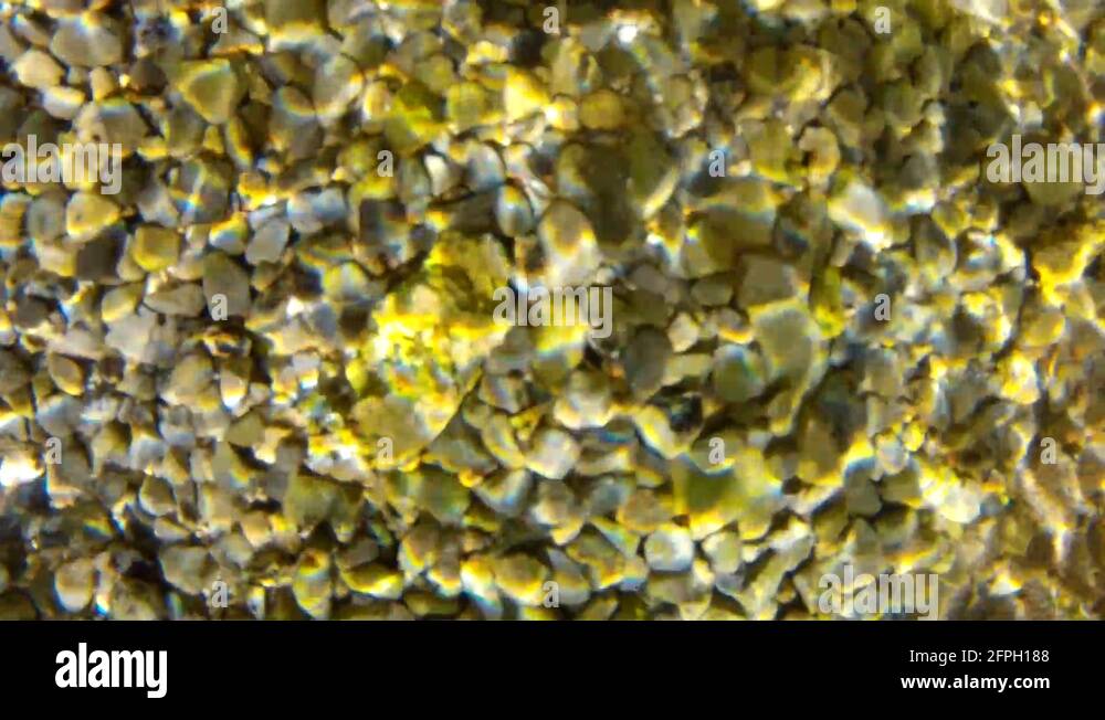 Gravel streambed Stock Videos & Footage - HD and 4K Video Clips - Alamy