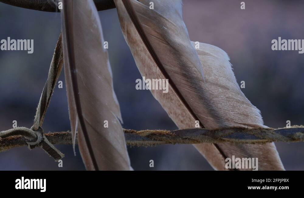 Native american indian staff Stock Videos & Footage - HD and 4K Video ...