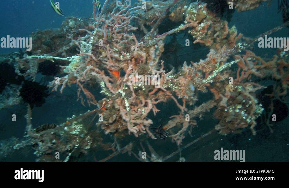 Encouraging growth Stock Videos & Footage - HD and 4K Video Clips - Alamy