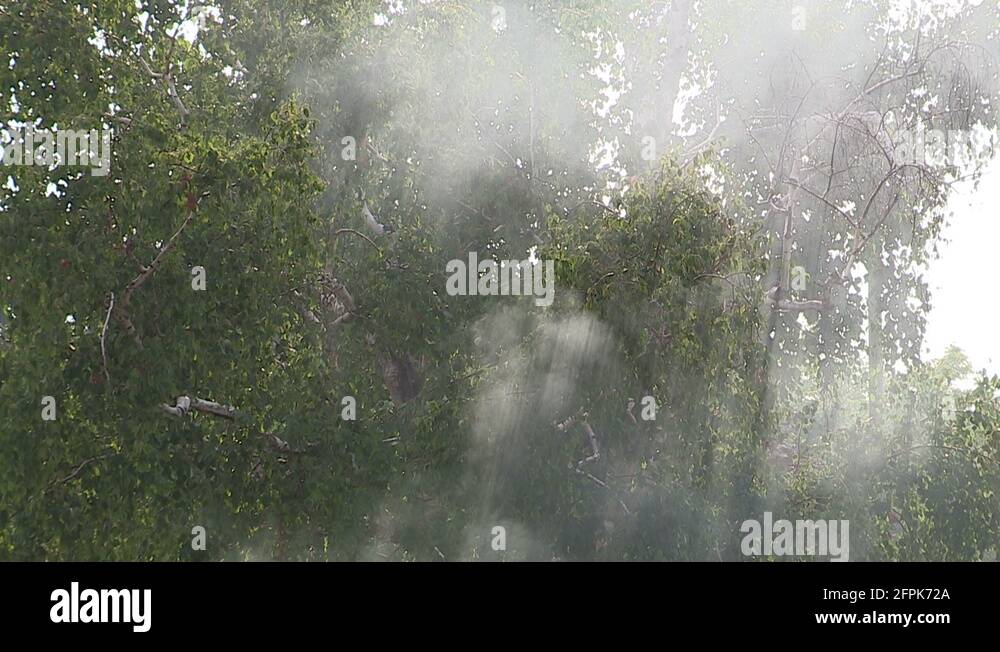 Hydro transformer vault fire in Toronto Stock Video Footage - Alamy