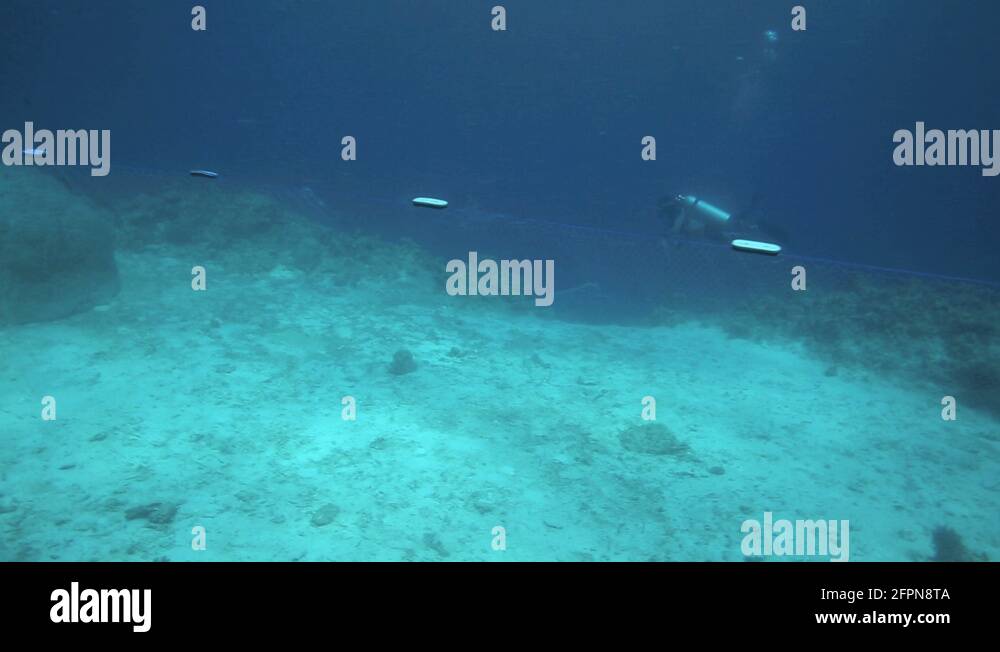 Overfishing net Stock Videos & Footage - HD and 4K Video Clips - Alamy