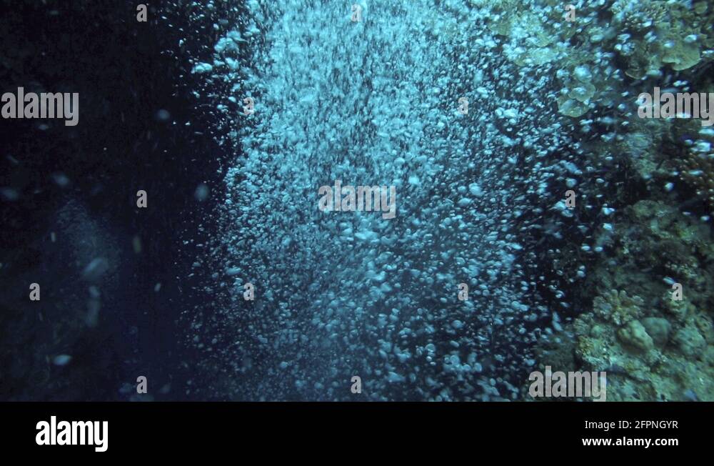 Bubbles air bubbles Stock Videos & Footage - HD and 4K Video Clips - Alamy