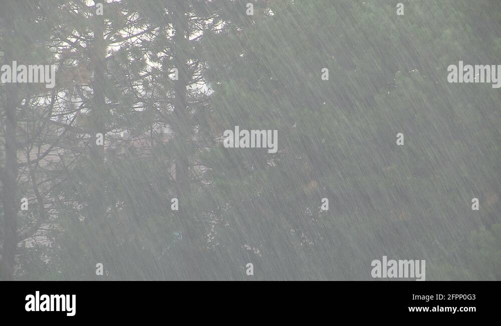 Flash flooding in Markham Ontario during severe thunderstorm and heavy ...
