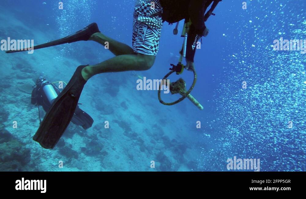 Diving wheel Stock Videos & Footage - HD and 4K Video Clips - Alamy