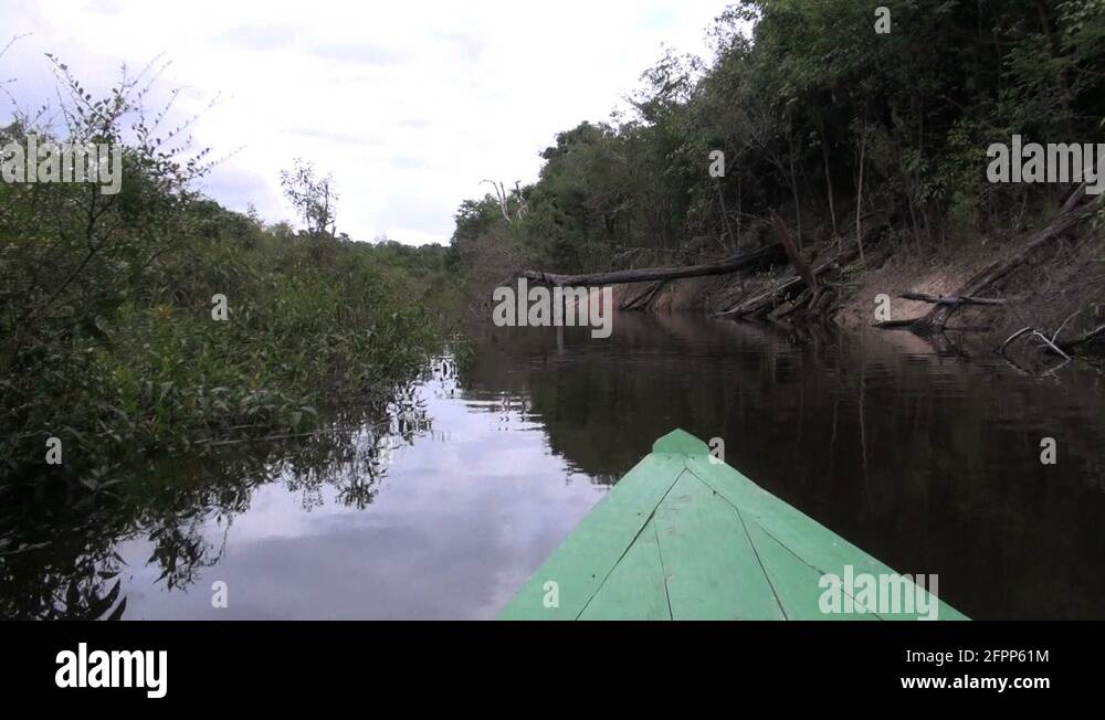 Log canoe Stock Videos & Footage - HD and 4K Video Clips - Alamy