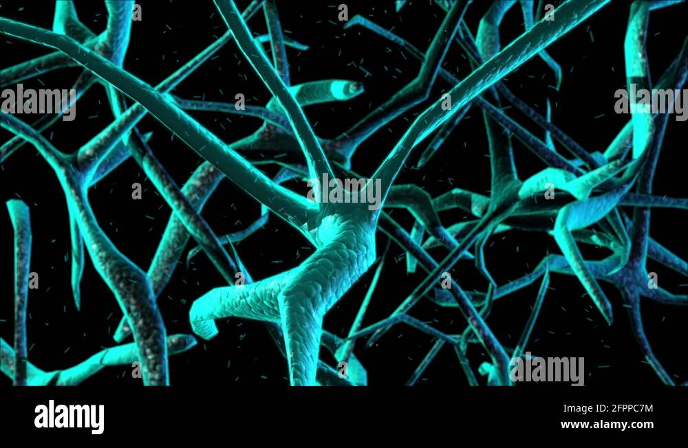 Brain cells Stock Videos & Footage - HD and 4K Video Clips - Alamy
