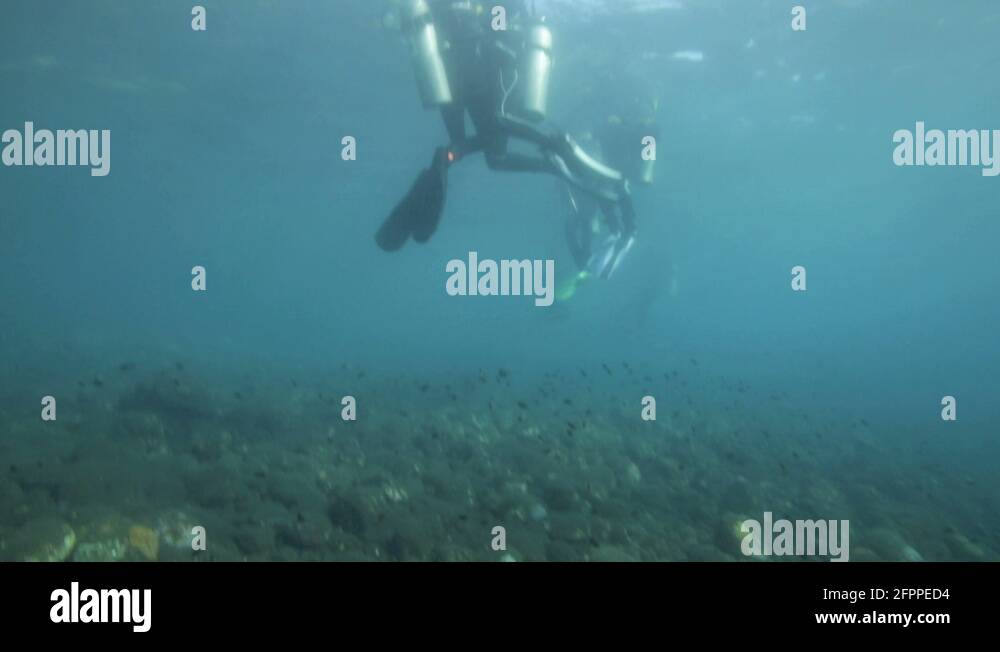 Divers floating at the surface Stock Videos & Footage - HD and 4K Video ...