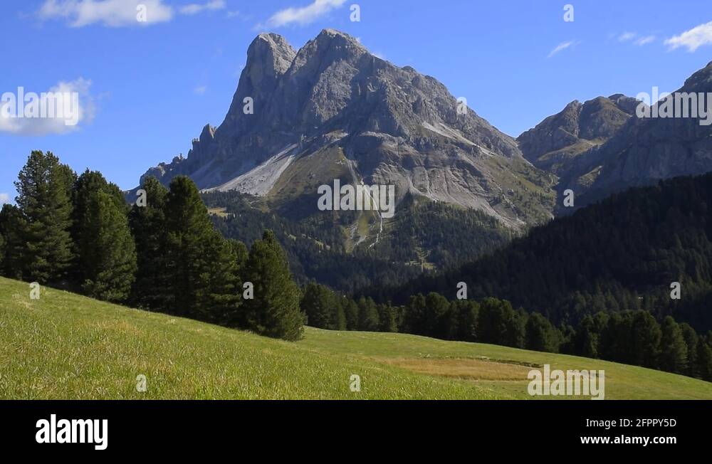 Italian fauna Stock Videos & Footage - HD and 4K Video Clips - Alamy