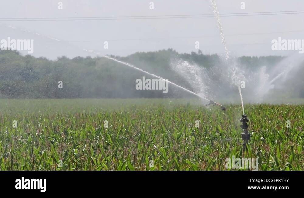 Rain gun Stock Videos & Footage - HD and 4K Video Clips - Alamy
