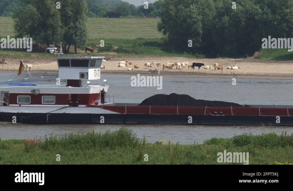 Cattle transport ship Stock Videos & Footage - HD and 4K Video Clips ...