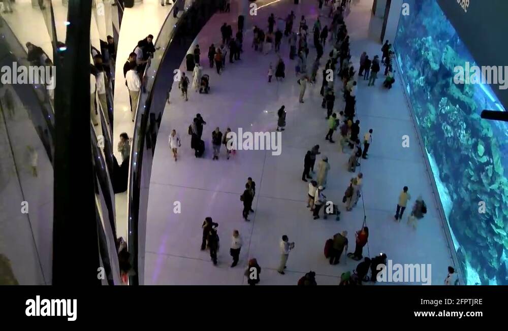 Emirates animals Stock Videos & Footage - HD and 4K Video Clips - Alamy