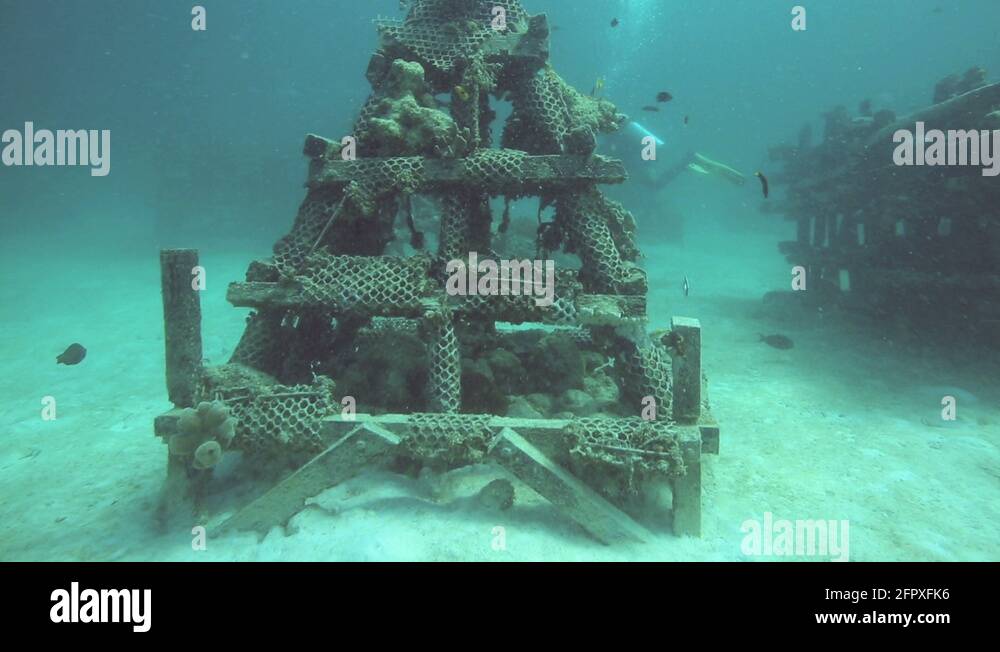 Pyramid artificial reef structures underwater Stock Video Footage - Alamy