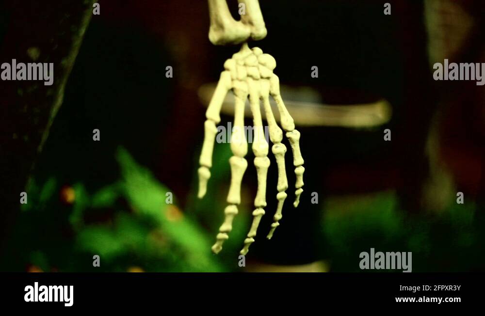 Hanging by hands Stock Videos & Footage - HD and 4K Video Clips - Alamy