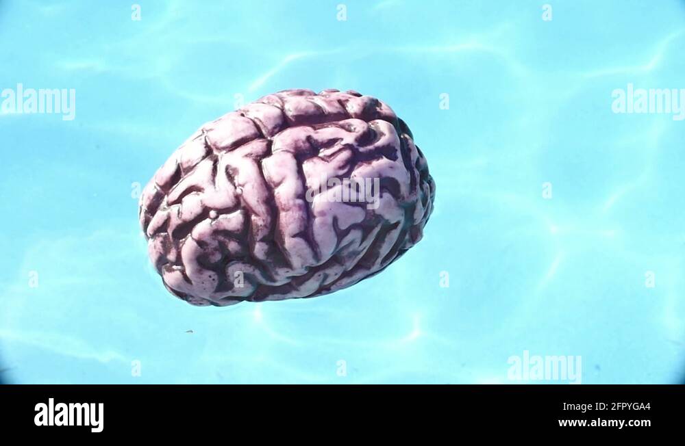 Floating brain Stock Videos & Footage - HD and 4K Video Clips - Alamy