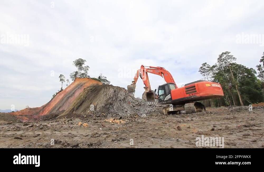 Oil palm plantations Stock Videos & Footage - HD and 4K Video Clips - Alamy