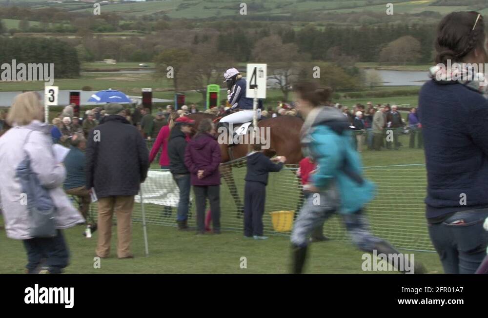 Horse parade ring Stock Videos & Footage - HD and 4K Video Clips - Alamy