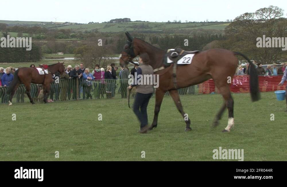 Parade ring racecourse Stock Videos & Footage - HD and 4K Video Clips ...