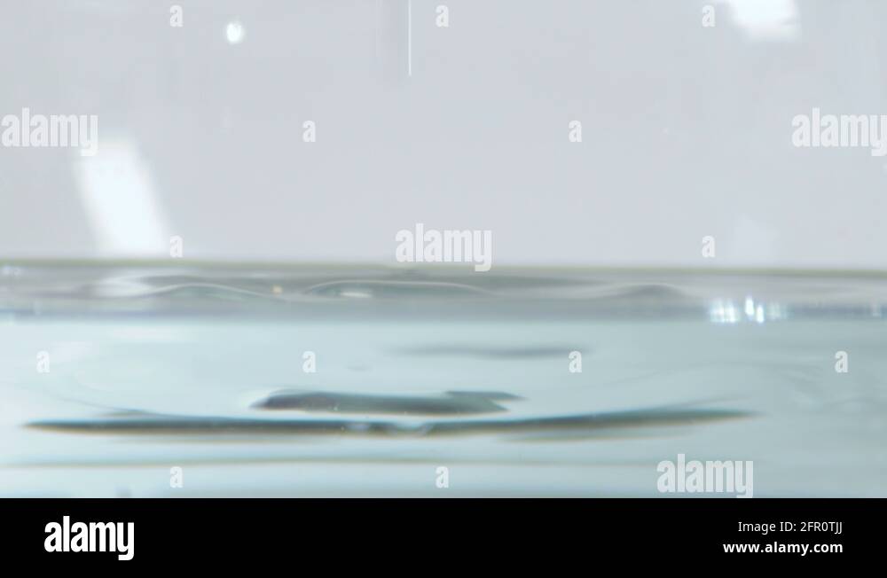 Rounded splash Stock Videos & Footage - HD and 4K Video Clips - Alamy